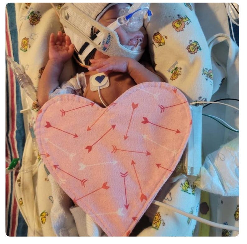 NICU Bonding Hearts: Flannel Preemie Lovey, Set of 2 - Etsy