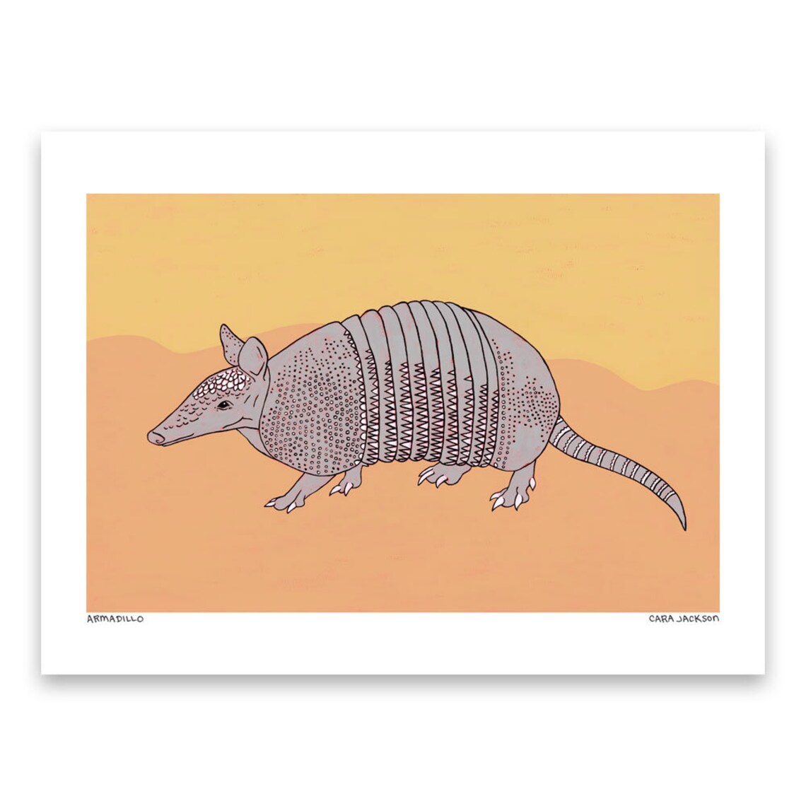 Armadillo - Art Print - Etsy