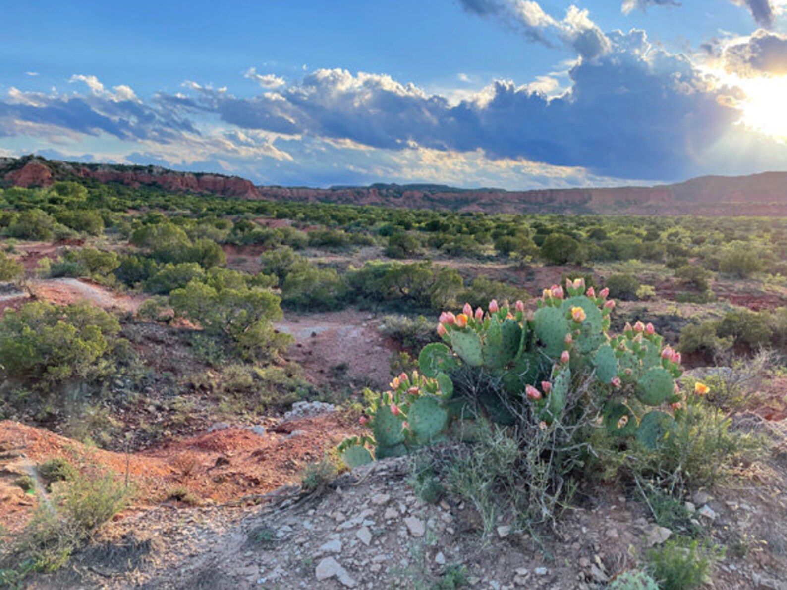Caprock Canyons - Art Print - Etsy