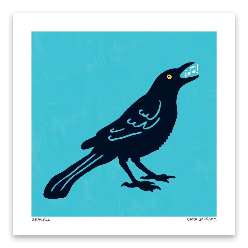 Grackle Art Print - Etsy