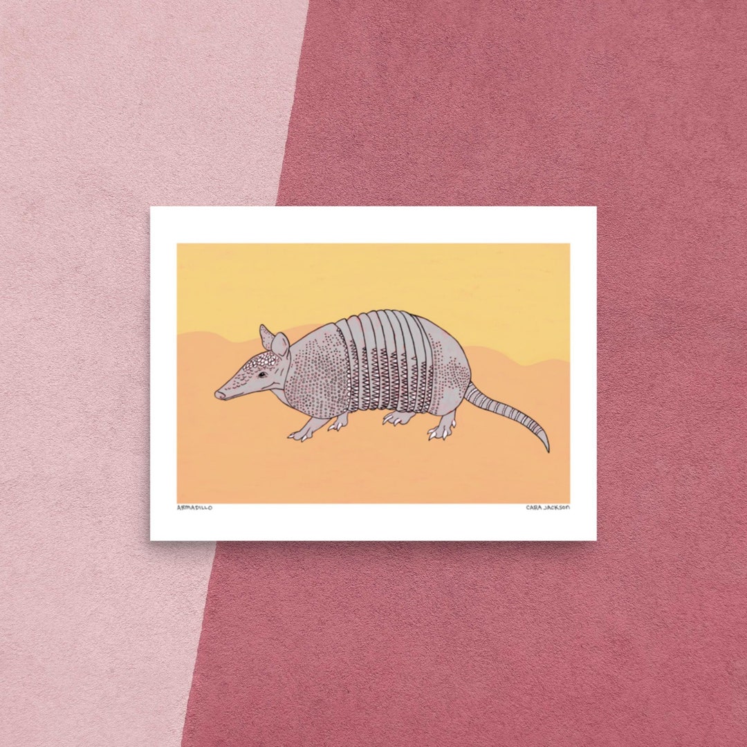 Armadillo - Art Print - Etsy
