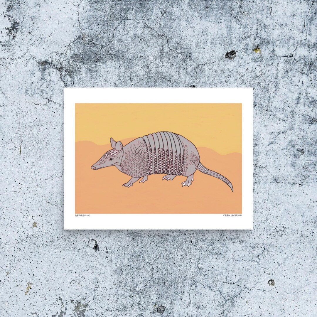Armadillo Art Print - Etsy