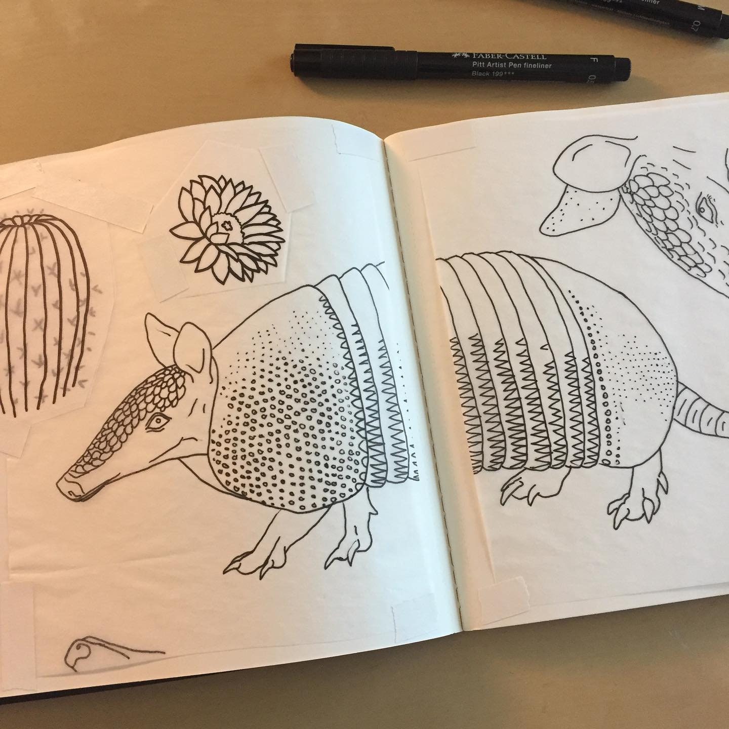 Armadillo - Art Print - Etsy