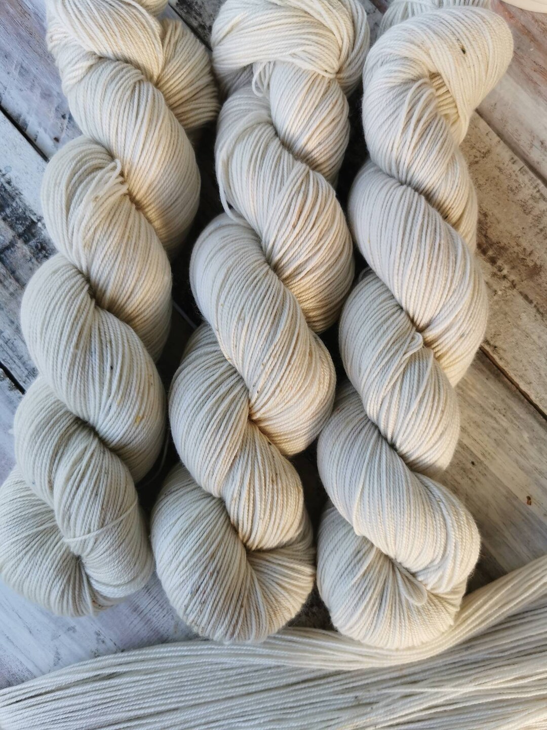 SHELL on Handdyed Merino Prima Sock Yarn Fingering Weight - Etsy Australia