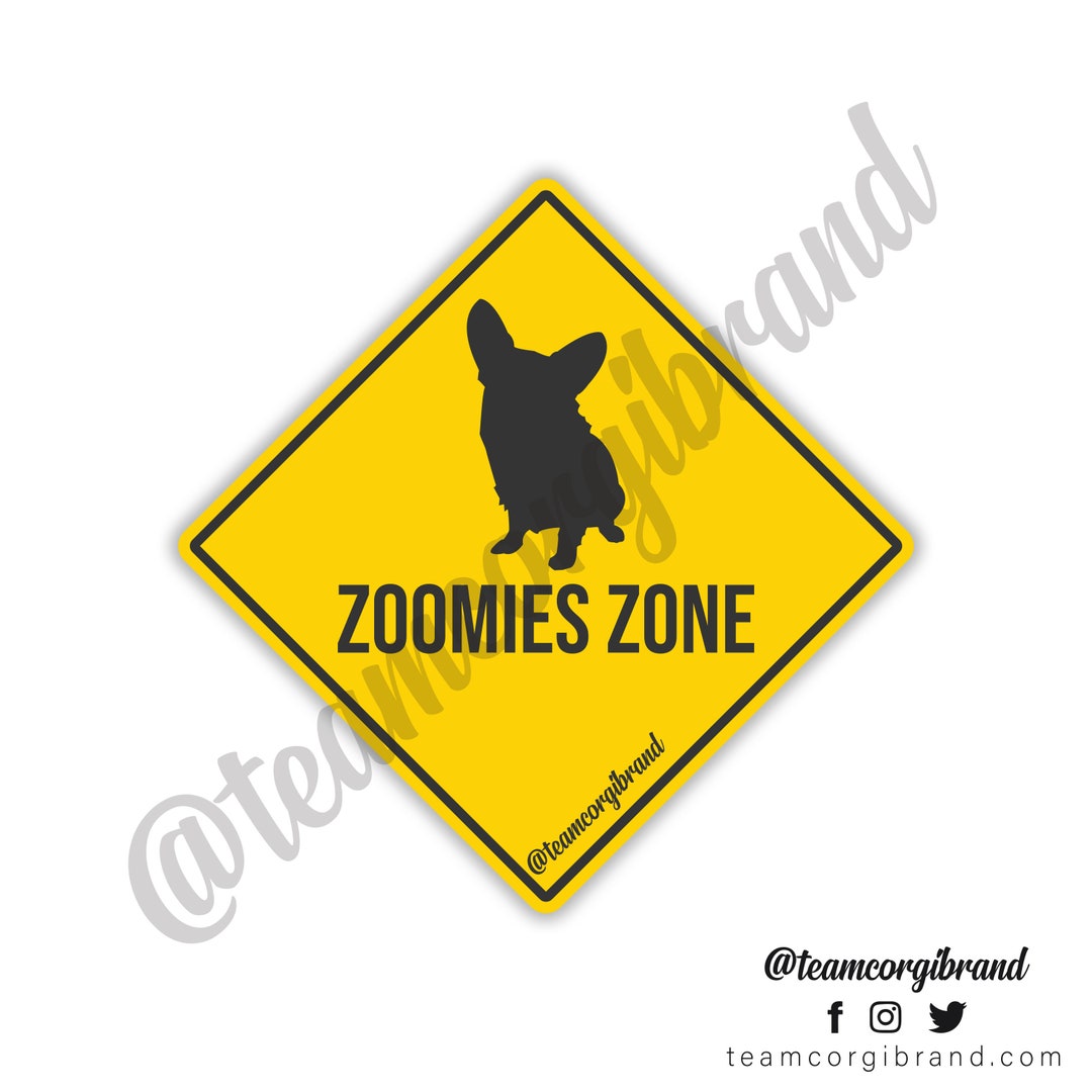 Zoomies Zone Sticker - Etsy