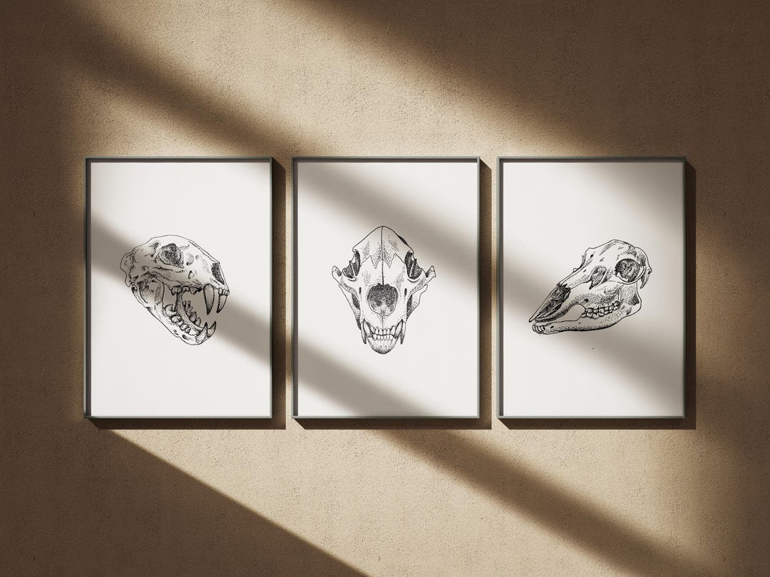 Hunters Skull Set Stippling Tattoo Artworks - 3x A4 Print Set - Etsy