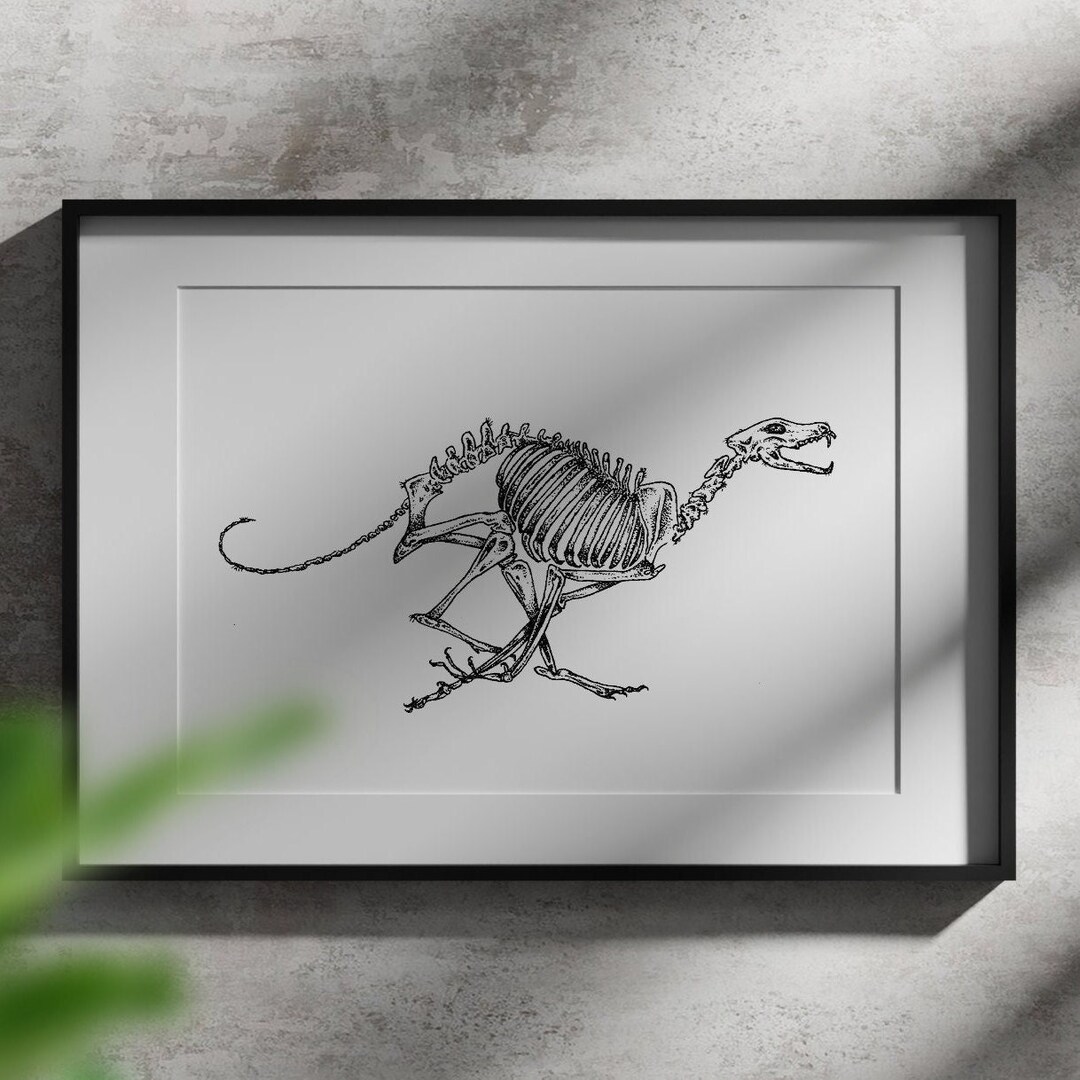 DOG SKELETON A4 Print Landscape Greyhound Running - Etsy