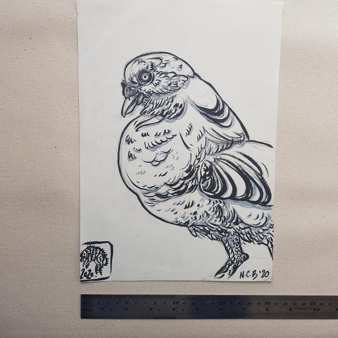 A4 Pigeon Sketchbook Artwork - Original - Double Sided Artwork - Etsy