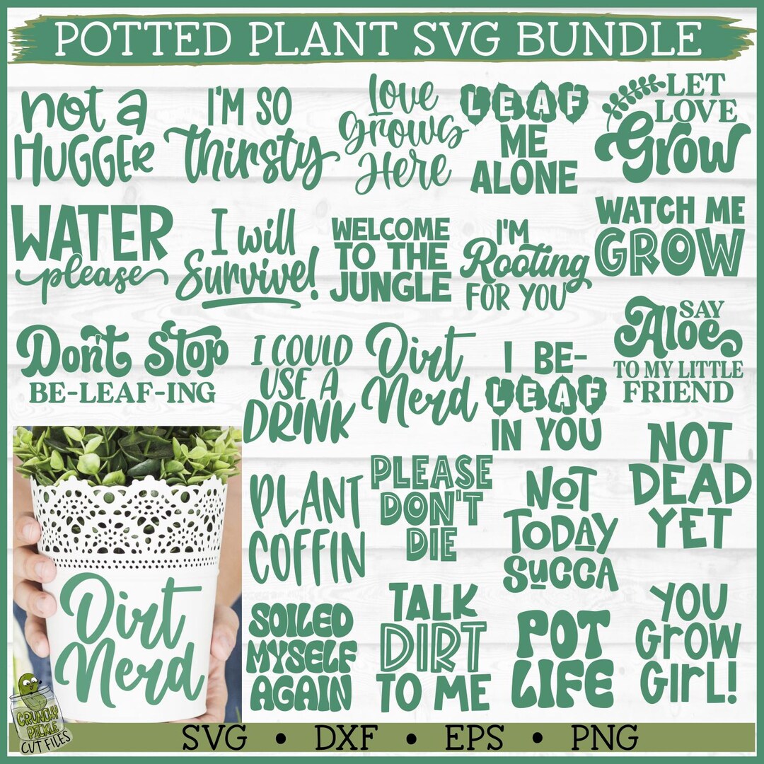 Potted Plants SVG Bundle, Png, Plant Pot Svg, Plant Mom Svg, Plant Lady ...