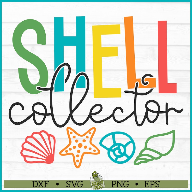 Seashells Svg - Etsy