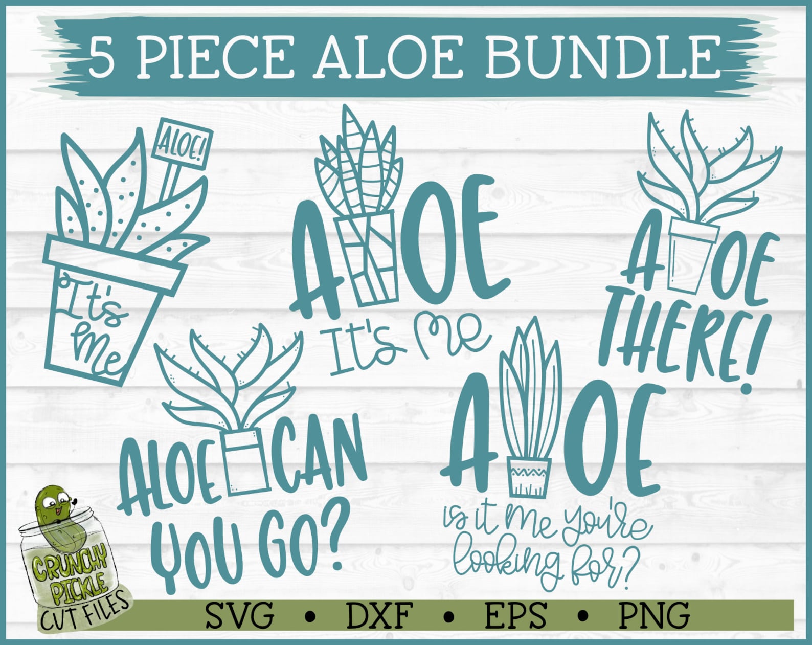 Aloe SVG Bundle Dxf Eps Png House Plant Svg Aloe Svg - Etsy