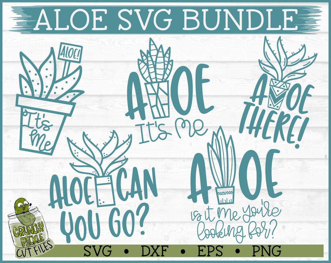 Aloe SVG Bundle Dxf Eps Png House Plant Svg Aloe Svg - Etsy