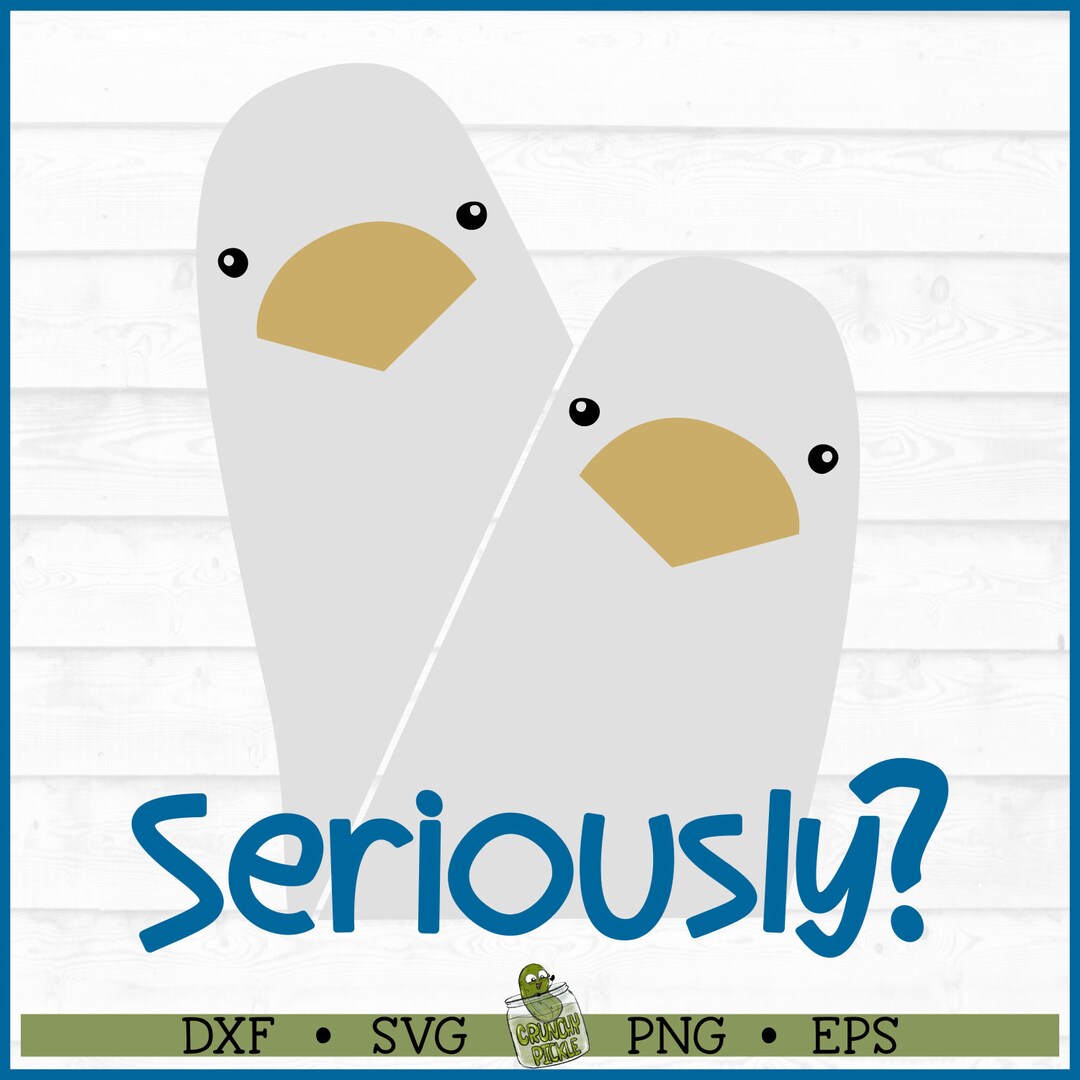 Seriously Seagulls SVG File, Dxf, Eps, Png, Funny Svg, Beach Svg ...