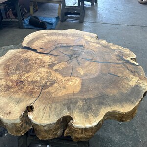 Round Coffee Table, Slab Coffee Table, Wood Slice Coffee Table, Live ...