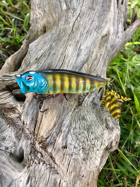 Custom Painted BREAM WITH TRIM Topwater Popmax | Etsy