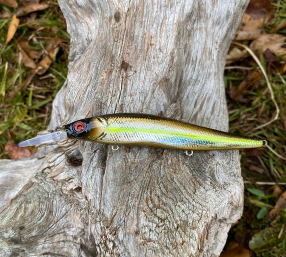 Custom Painted STREAKER 1101 Medium Diver Jerkbait | Etsy