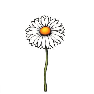 Daisy Drawing PNG Clipart Bundle - 36 High Quality PNG - Instant ...