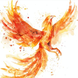 Rising Phoenix PNG Clipart Bundle 48 High Quality PNG Instant Download ...