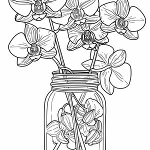 Flower Jar Coloring Pages PDF Bundle - 34 High Quality Images - Instant ...