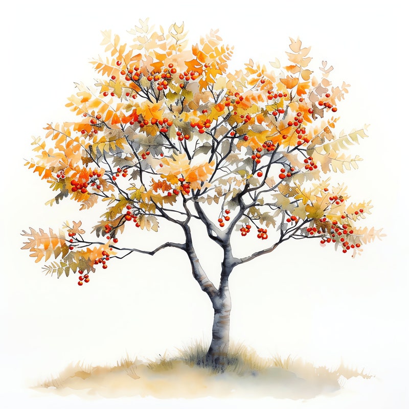 Rowan Tree Art - Etsy