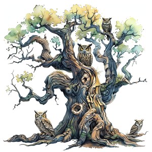 Ancient Tree With Wisdom Symbols PNG Clipart Bundle - 50 High Quality ...