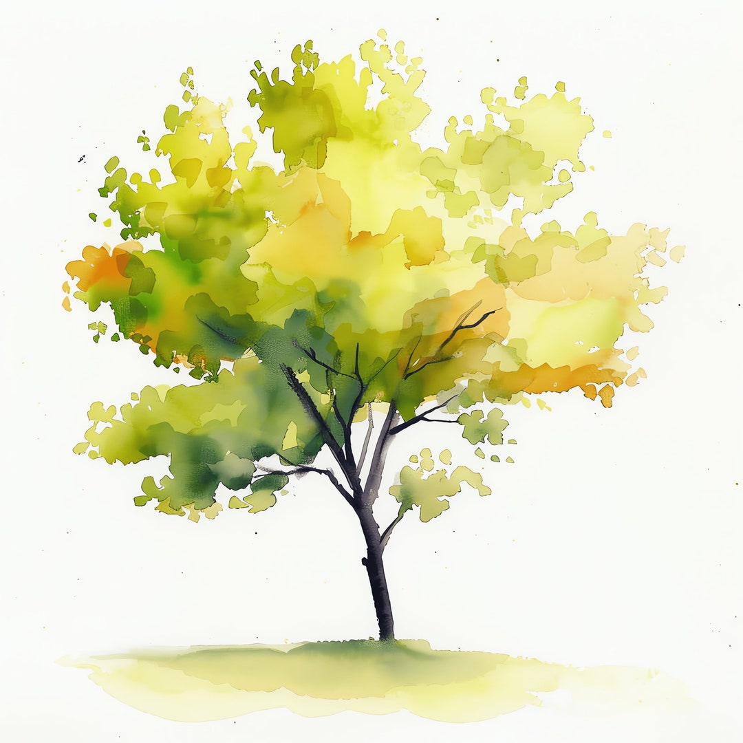 Small Tree PNG Clipart Bundle - 51 High Quality PNG - Instant Download ...