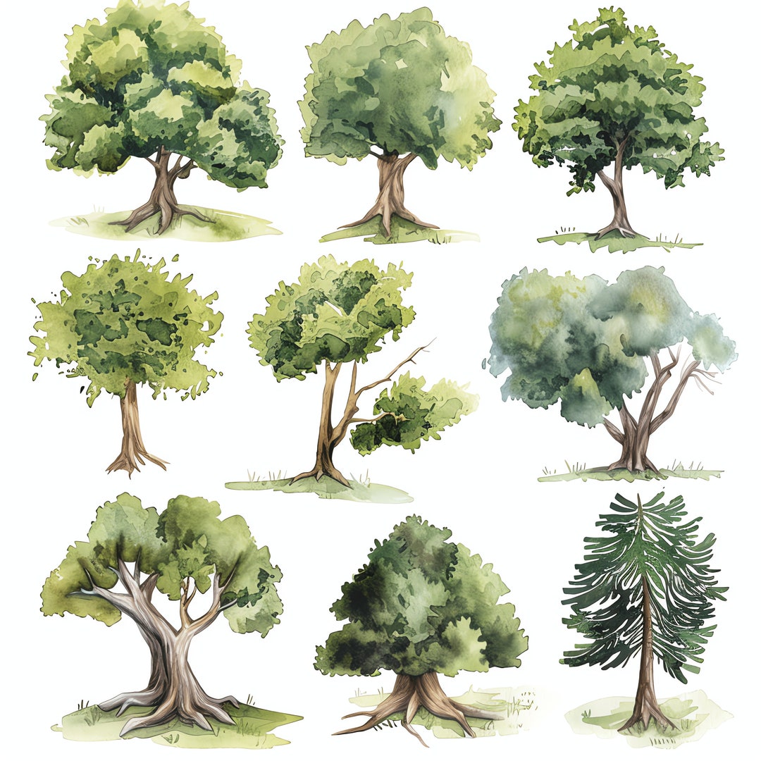 Tree Growth Progress PNG Clipart Bundle - 47 High Quality PNG - Instant ...