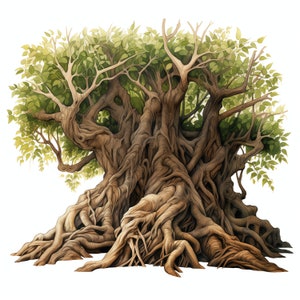 Intertwined Tree Roots PNG Clipart Bundle 50 High Quality PNG Instant ...