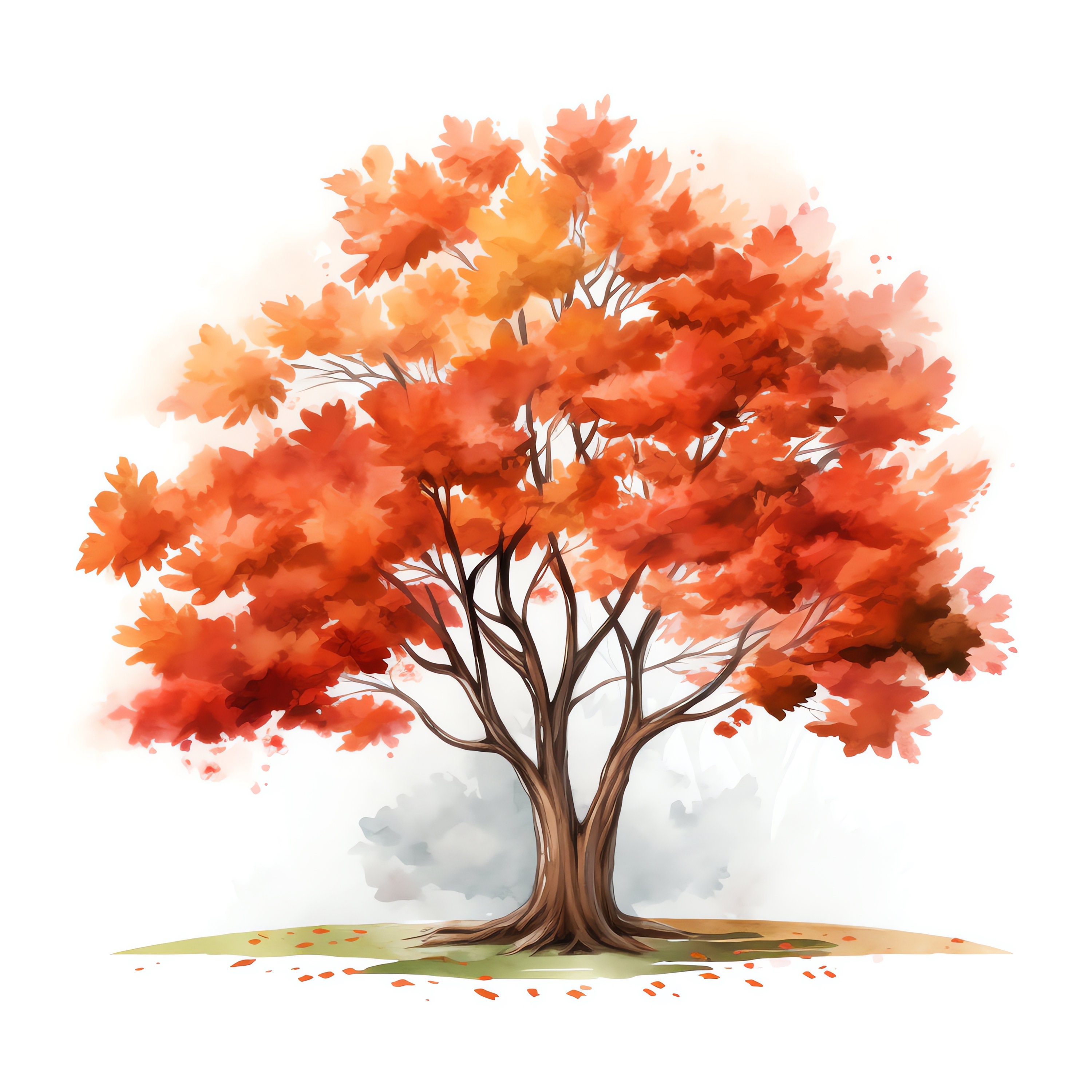 Fall Tree Clipart - 50 High Quality Jpgs - Digital Download - Card ...