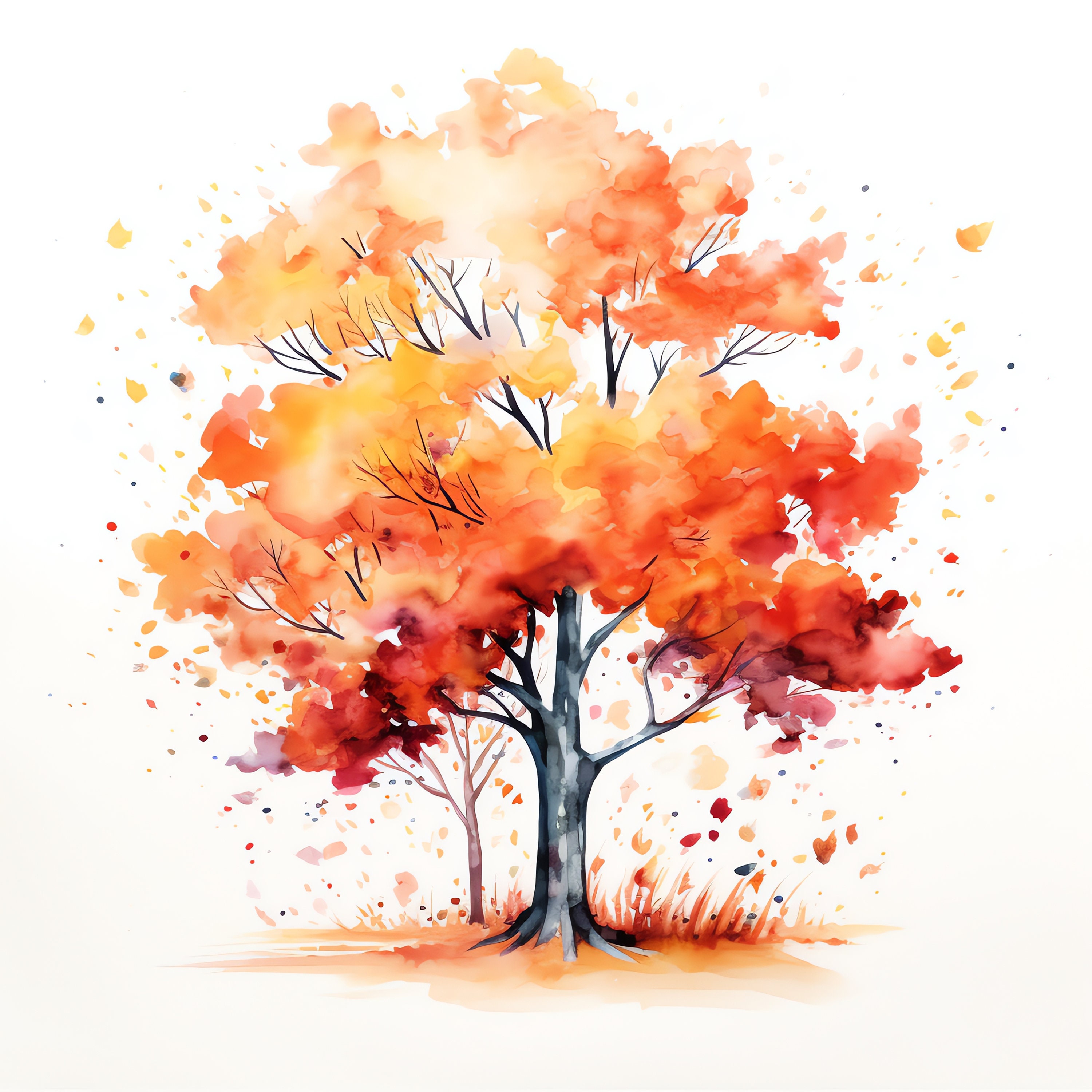 Fall Tree Clipart - 50 High Quality Jpgs - Digital Download - Card ...