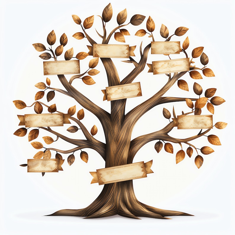 Family Tree With Placeholders PNG Clipart Bundle - 40 High Quality PNG ...
