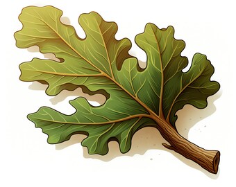 Oak Tree Clipart 45 High Quality Jpgs Digital Download Card Making ...