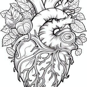 Artistic Anatomy Coloring Pages - 30 High Quality PNG - Instant ...