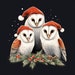 Christmas Owls PNG Clipart Bundle 48 High Quality PNG Instant Download ...