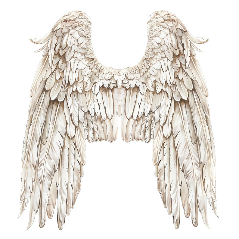 Simple Angel Wings PNG Clipart Bundle 50 High Quality PNG Instant ...