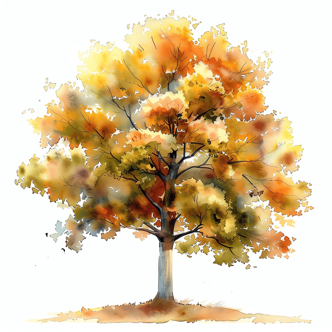 Sycamore Tree PNG Clipart Bundle 51 High Quality PNG Instant Download ...