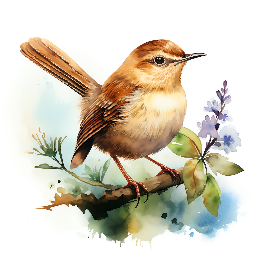 Wren Clipart - 45 High Quality Jpgs - Digital Download - Card Making ...