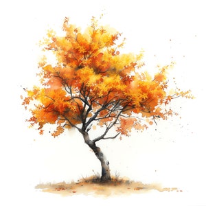 Rowan Tree Watercolor Bundle - 45 High Quality PNG - Instant Download ...