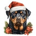 Christmas Rottweiler PNG Clipart Bundle 49 High Quality PNG Instant ...