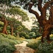Oak Tree Path PNG Clipart Bundle 50 High Quality PNG Instant Download ...