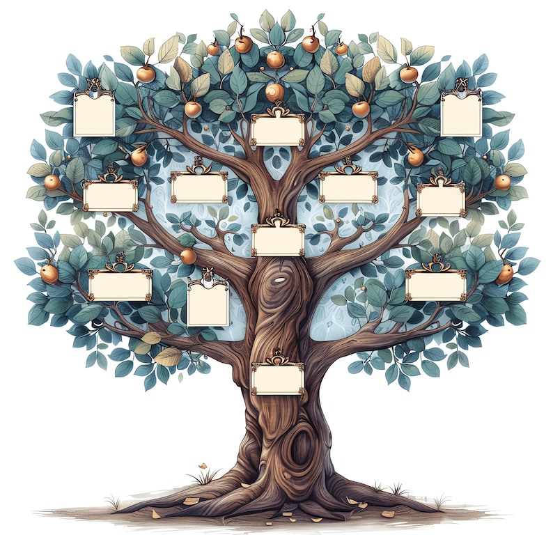 Family Tree With Placeholders PNG Clipart Bundle - 40 High Quality PNG ...