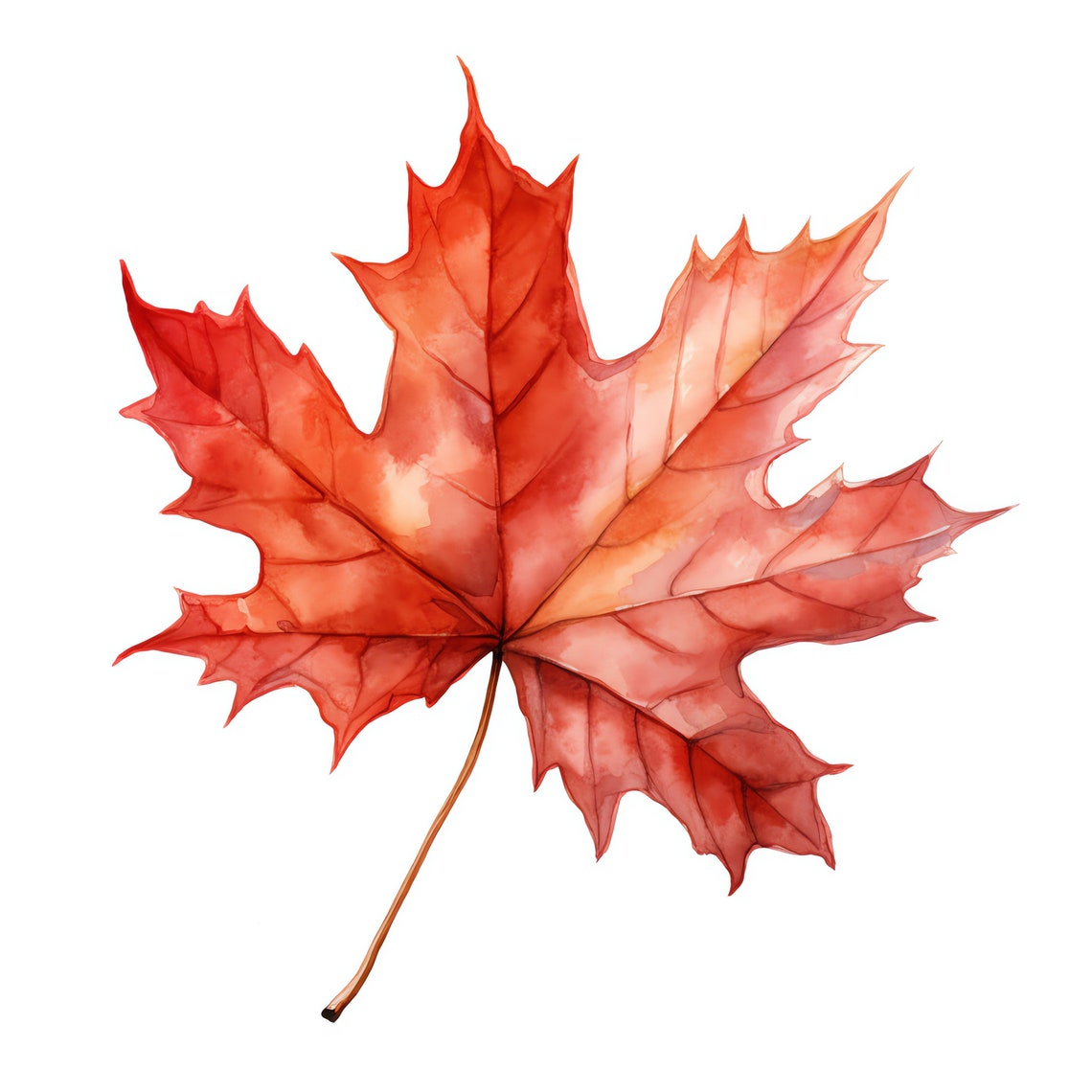 Maple Leaf Clipart - 30 High Quality Jpgs - Digital Download - Card ...