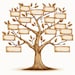 Family Tree With Placeholders PNG Clipart Bundle - 40 High Quality PNG ...