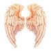 Simple Angel Wings PNG Clipart Bundle 50 High Quality PNG Instant ...