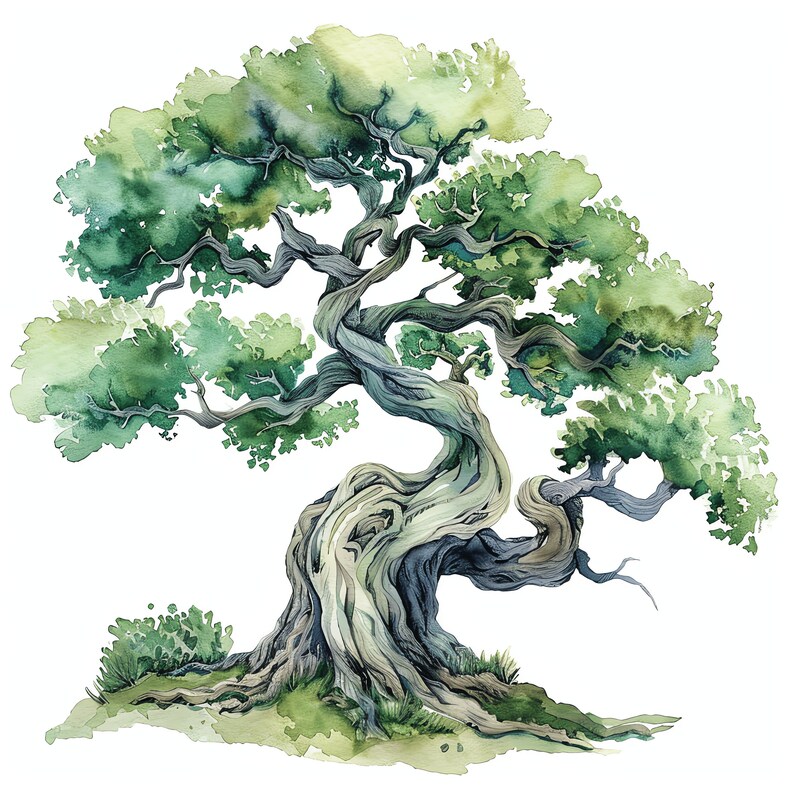 Mythical Tree PNG Clipart Bundle 50 Tree High Quality PNG Instant ...