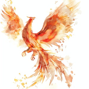 Rising Phoenix PNG Clipart Bundle 48 High Quality PNG Instant Download ...