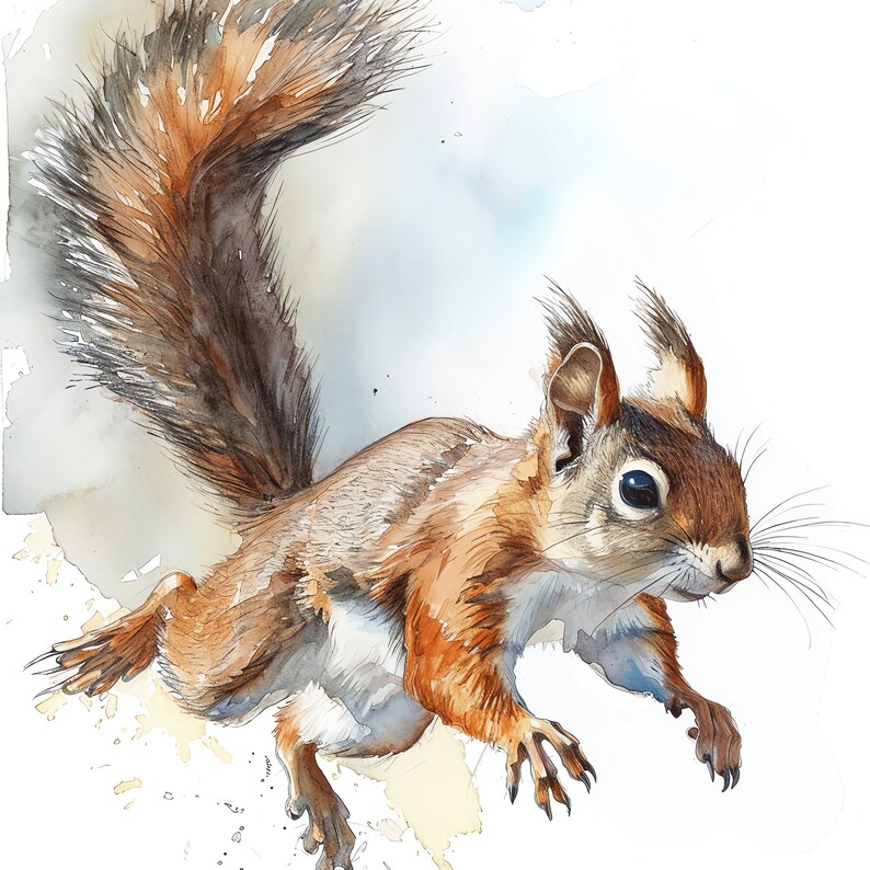Flying Squirrel PNG Clipart Bundle - 30 High Quality PNG - Instant ...