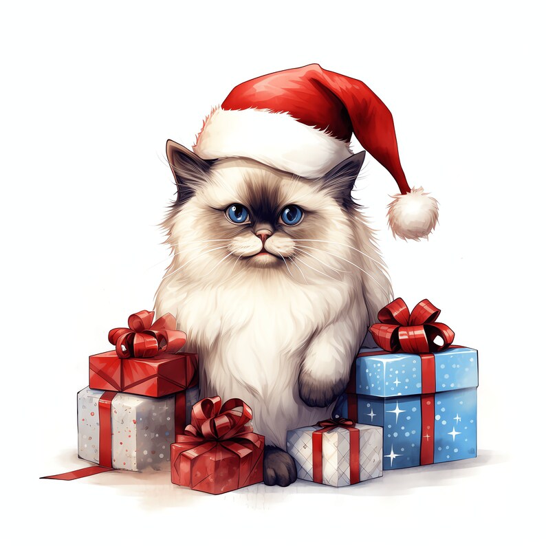 Christmas Ragdoll Cat PNG Clipart Bundle - 51 High Quality PNG ...