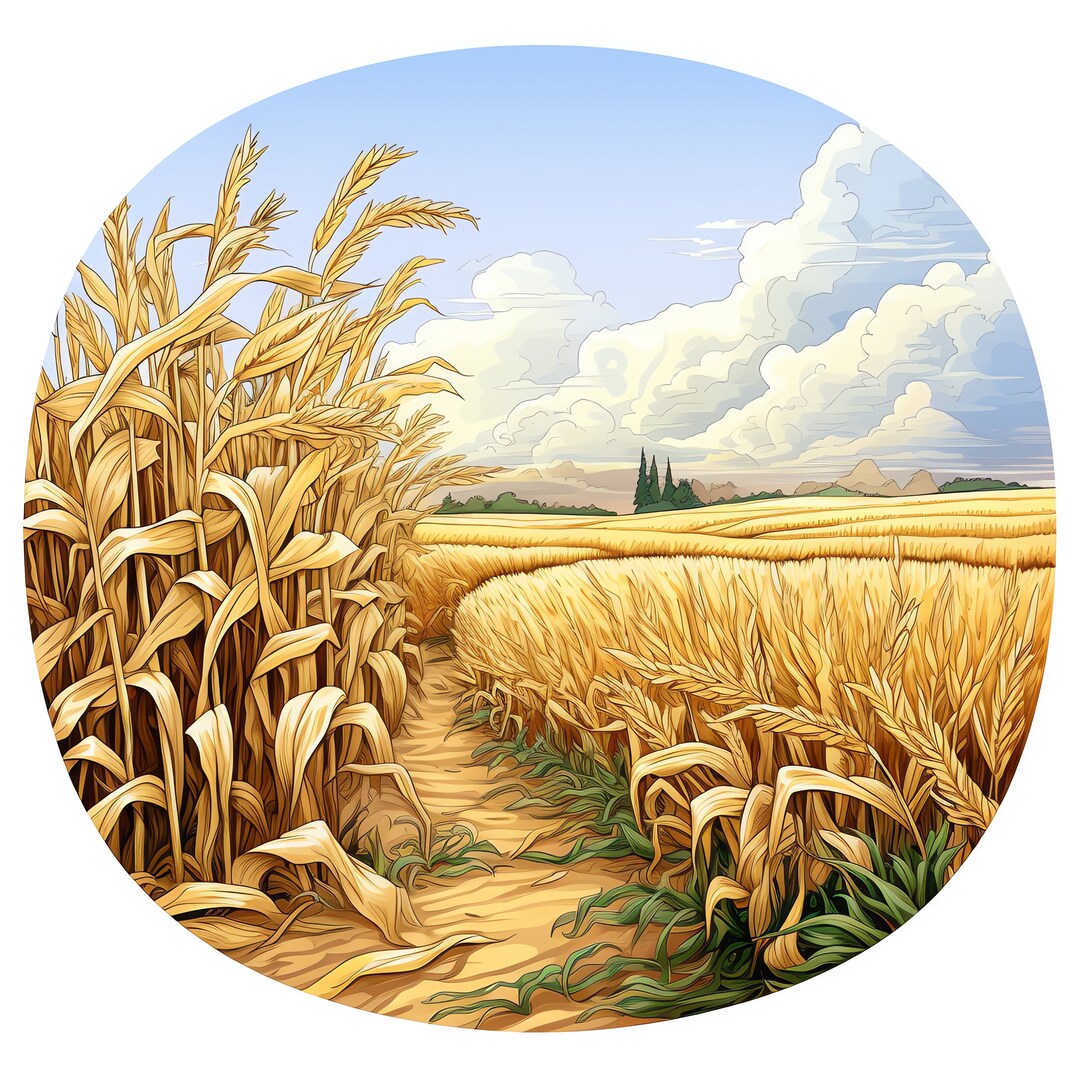 Cornfield Clipart - 40 High Quality Jpgs - Digital Download - Card Making, Mixed Media, Digital ...