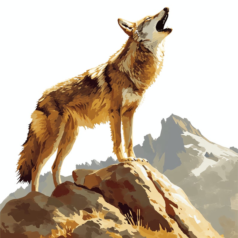 Howling Coyote PNG Clipart Bundle - 48 High Quality PNG - Instant ...